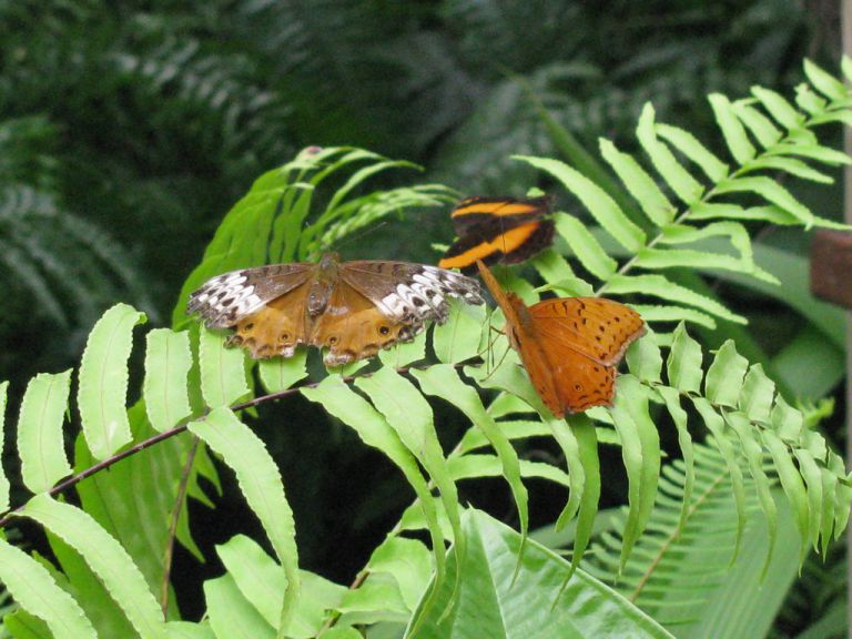 Eleven Local Wonders of Bulacan | TriptheIslands.com