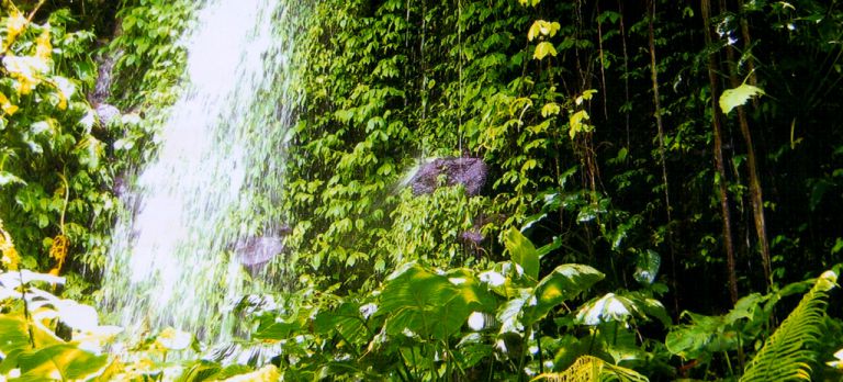 A Guide to the Mounts Banahaw–San Cristobal Protected Landscape Area ...