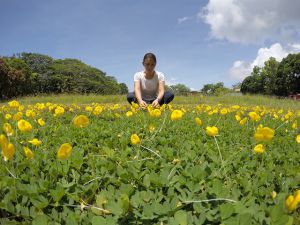 Alabat Island: A Great Destination Off the Beaten Track ...